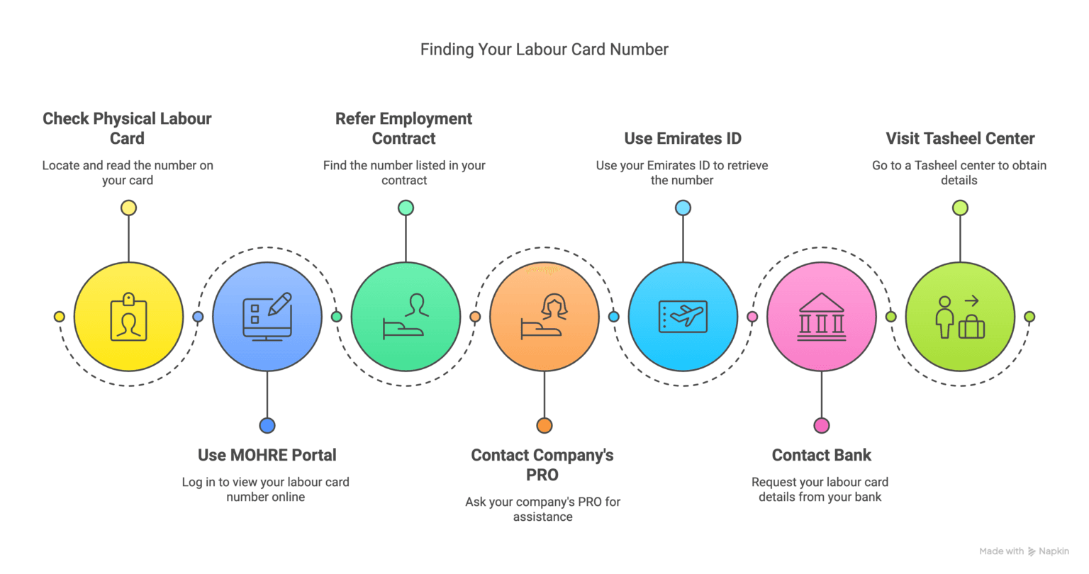 Complete Guide To Labour Card (Work Permit) 2025 - UAE Labour News